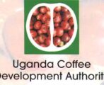 Manager Statistics at Uganda Coffee Development Authority, Kampala, Uganda - WORKAWEB
