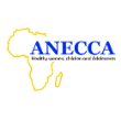 PMTCT Officer at African Network for Care of Children Affected (ANECCA), Karamoja, Uganda - WORKAWEB