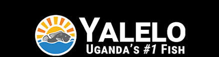 Net Deployment general worker at Yalelo , Buikwe , Uganda - WORKAWEB