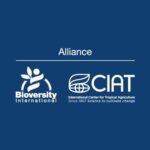 HR Intern at Alliance of Bioversity International and the International ...